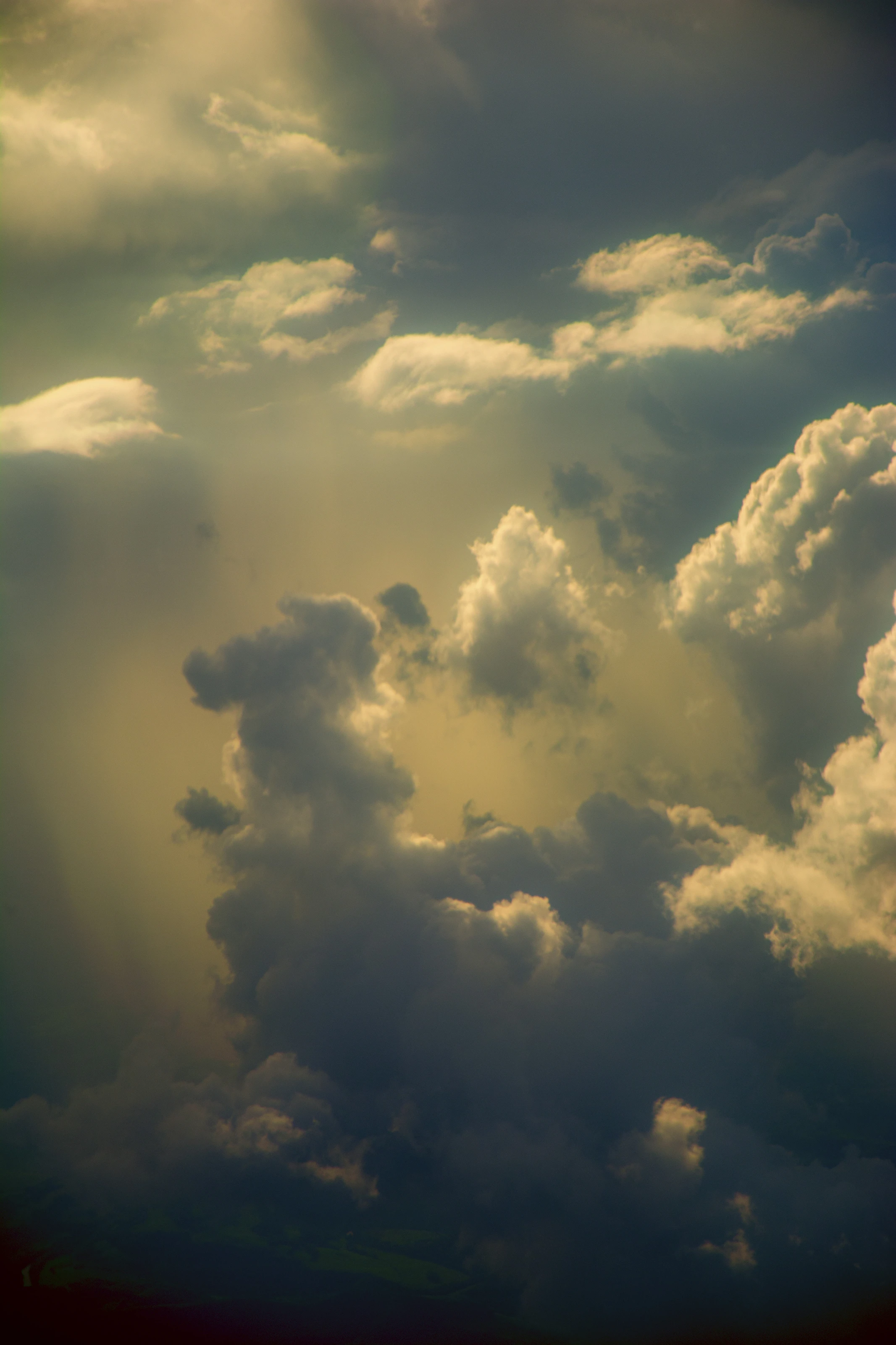 Golden Hour II | Boobam